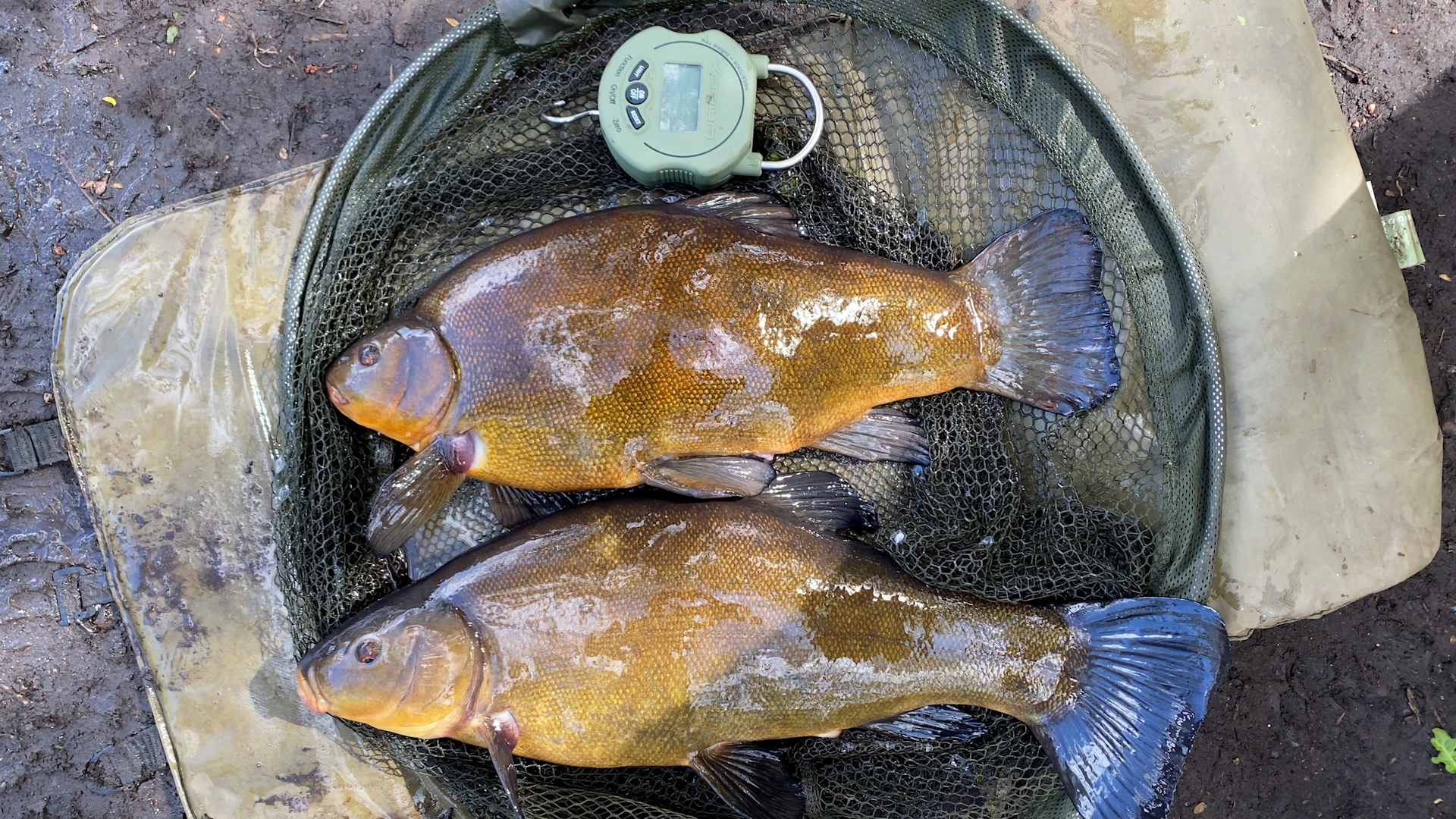 Life on the Bank