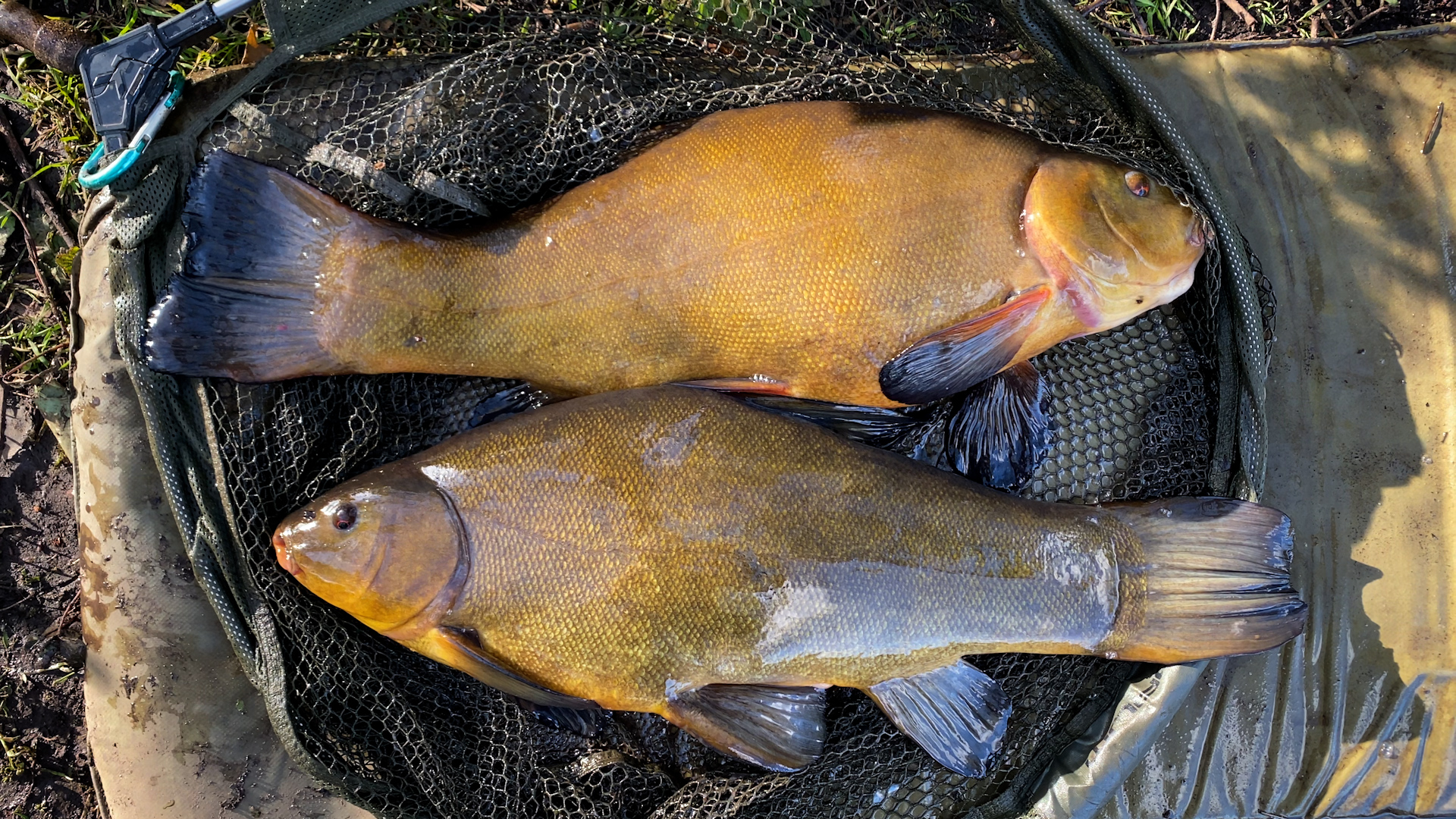 Life on the Bank